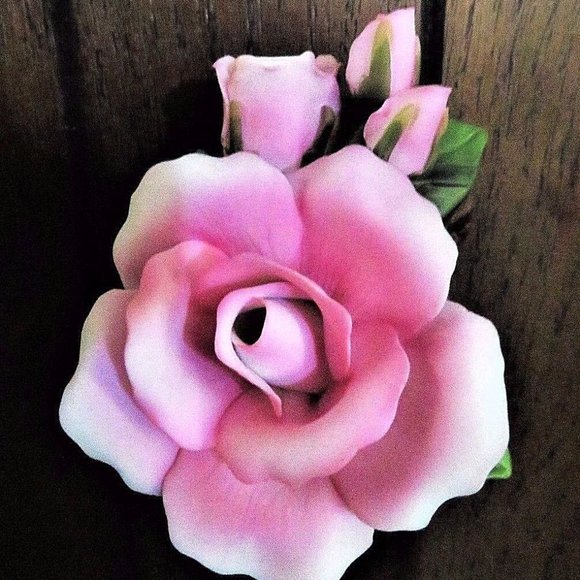 Avon | Wall Decor | Collecting Pink Rose Night Light And Parfume ...